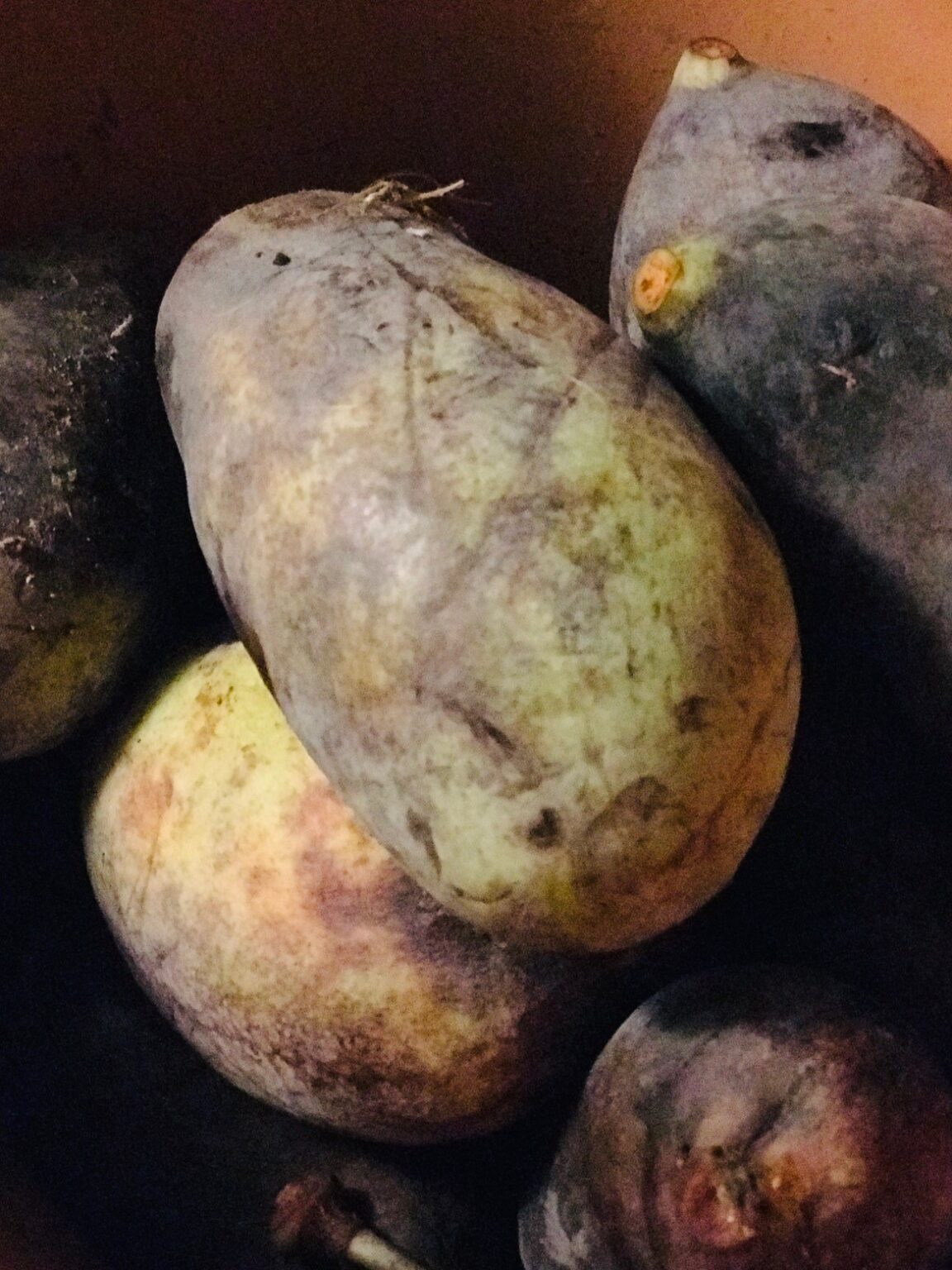The Pawpaw- What It Is and How to Grow It | Hackett Hill Farm