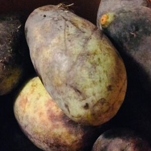 Pawpaw quick bread recipe | Hackett Hill Farm