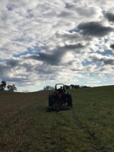How to Start A Homestead No Matter Where You Live | Hackett Hill Farm