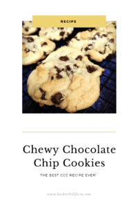 Chewy Chocolate Chip Cookies | Hackett Hill Farm