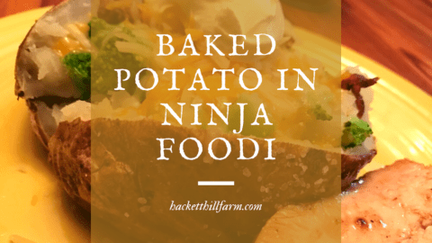 Easy Baked Potato in the Ninja Foodi Air Fryer | Hackett Hill Farm