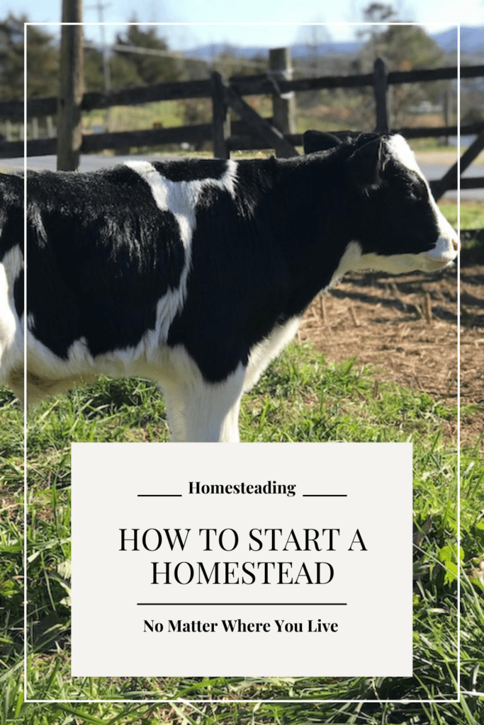 How to Start A Homestead No Matter Where You Live | Hackett Hill Farm