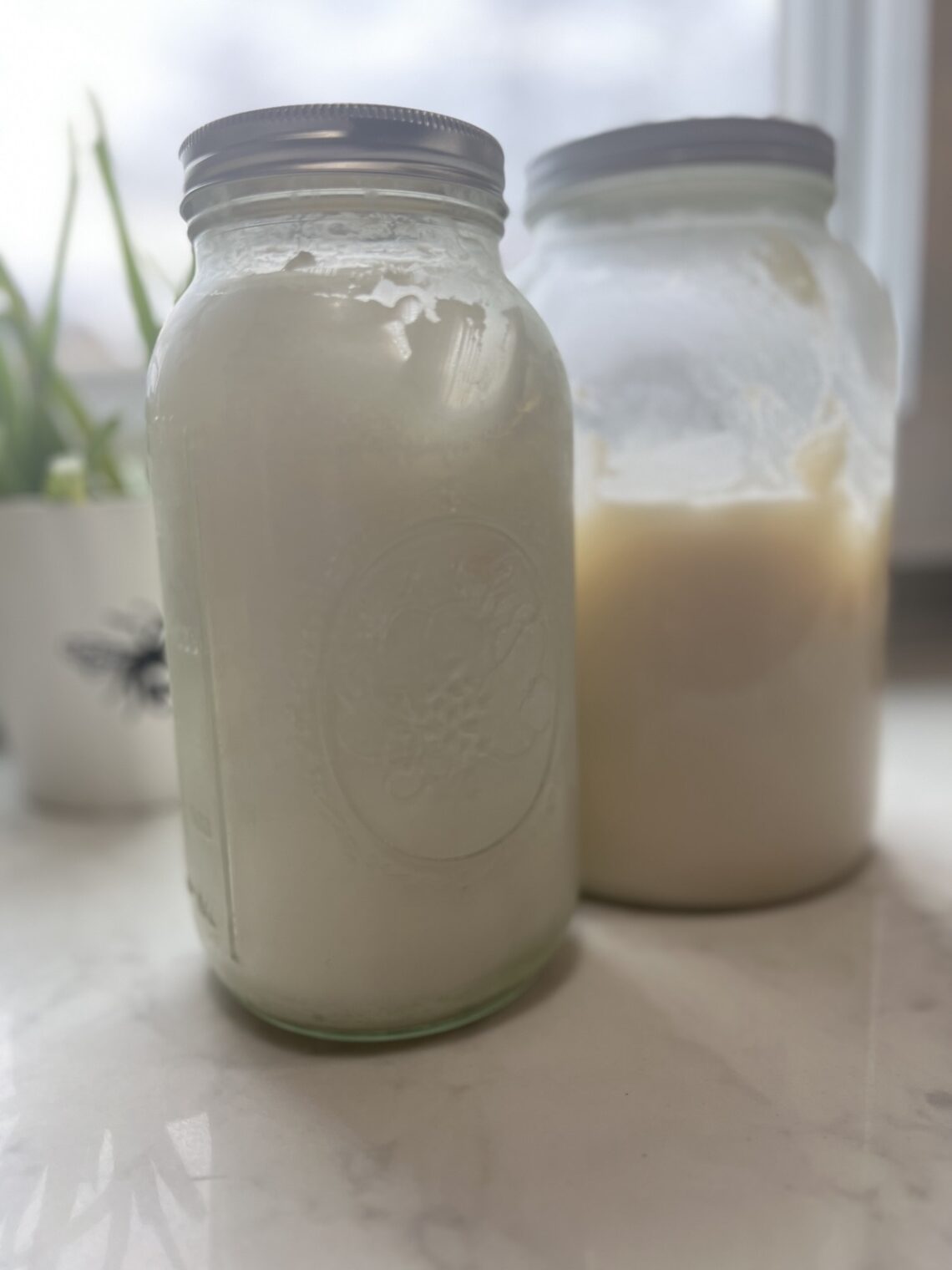 How to Render Pork Fat for Lard- Ninja Foodi Version | Hackett Hill Farm