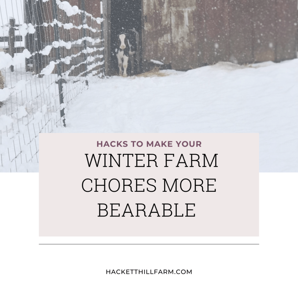 Hacks to Make Your Winter Farm Chores More Bearable | Hackett Hill Farm