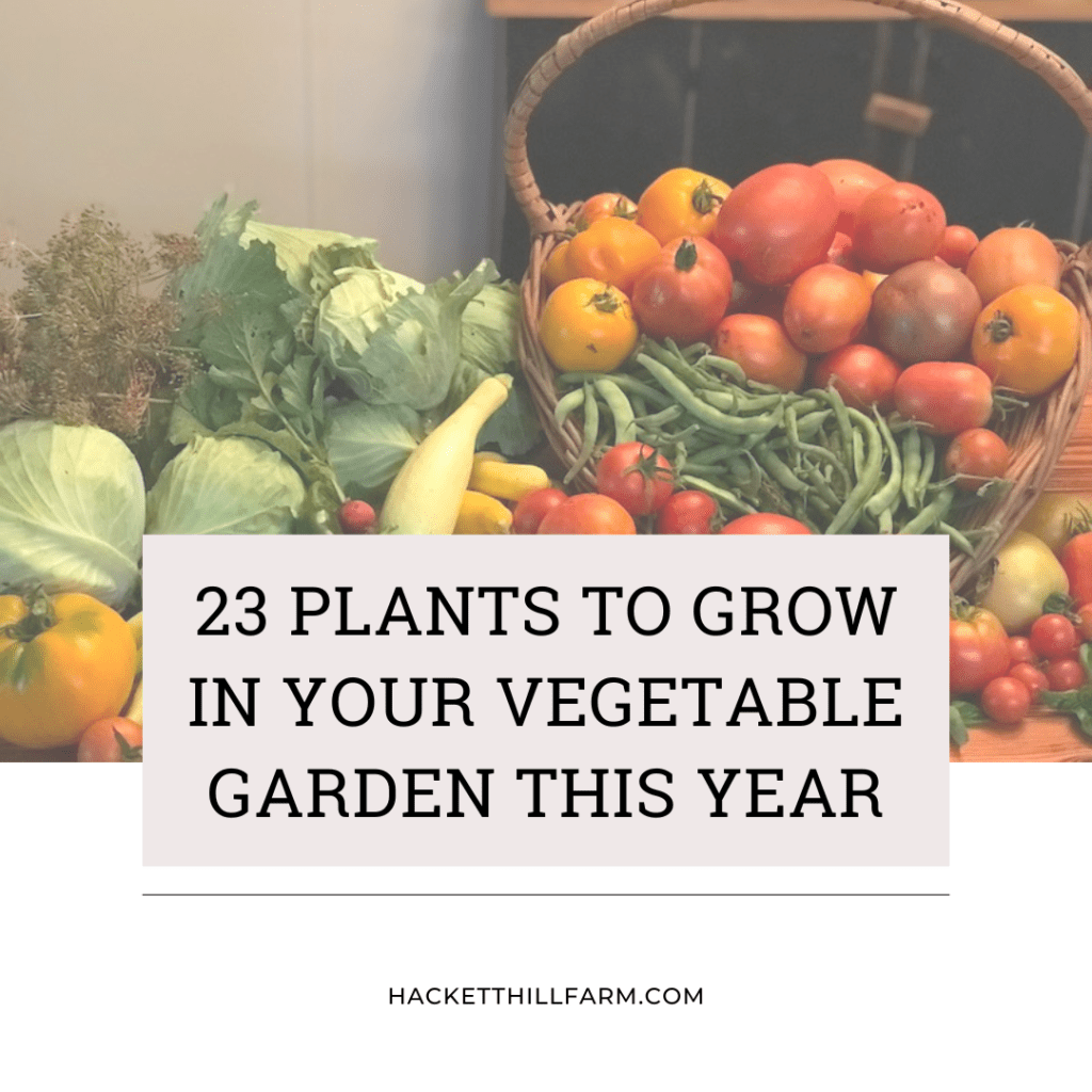 23 Plants to Grow in Your Vegetable Garden This Year and How to Use ...