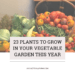 23 Plants to Grow in Your Vegetable Garden This Year and How to Use ...